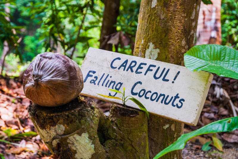 Careful, coconut sign stock image. Image of signs, symbol - 129928529