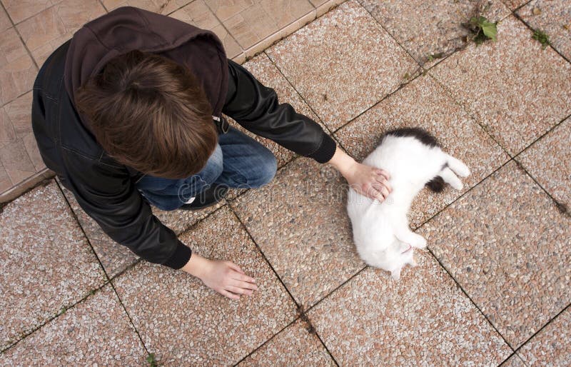 Caressing cat stock photo. Image of kind, domestic, male - 17166316
