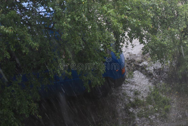 Cargo Bus Under the Branches of a Tree in Heavy Rain Stock Photo ...