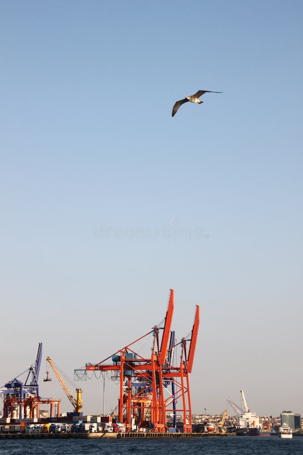 Cargo Jetty and seagull editorial stock image. Image of container ...