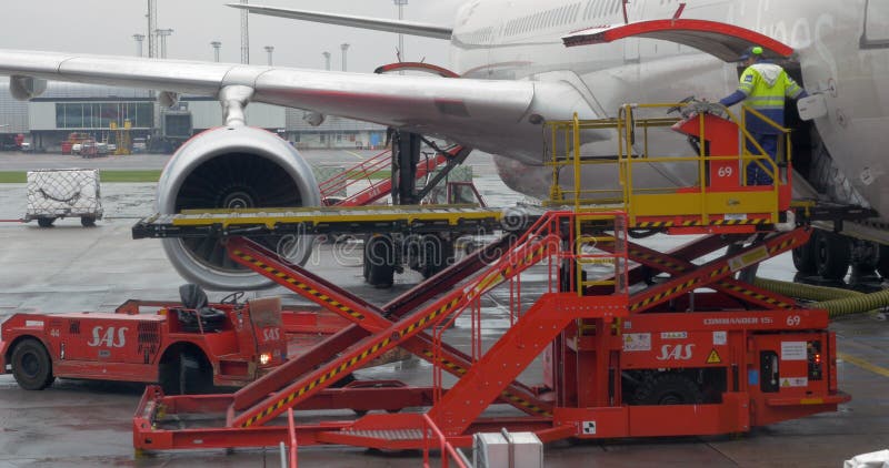 Cargo Loading into the Airplane Luggage Hold Editorial Stock Photo ...