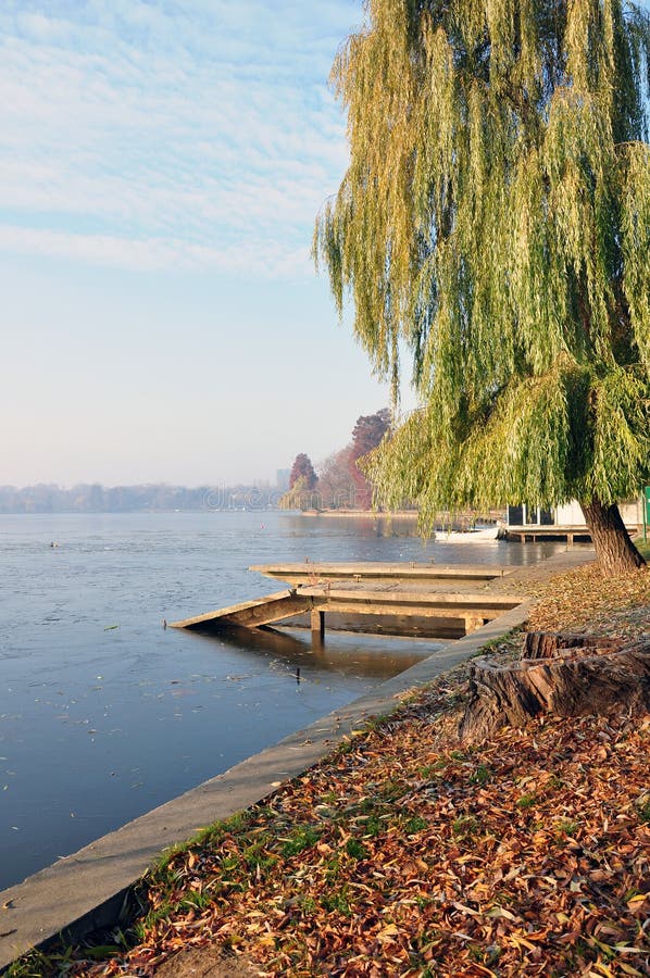 Cargo See stockfoto. Bild von kalt, feld, dunkel, zieleinheit - 22294470