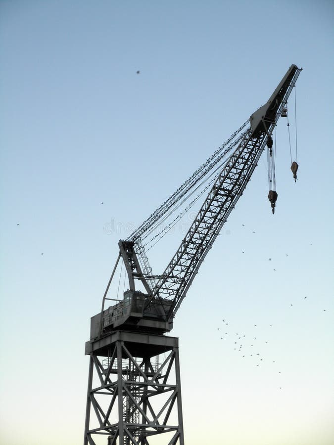 Cargo Ship Crane Covered in Birds at Dusk Stock Photo - Image of ship ...