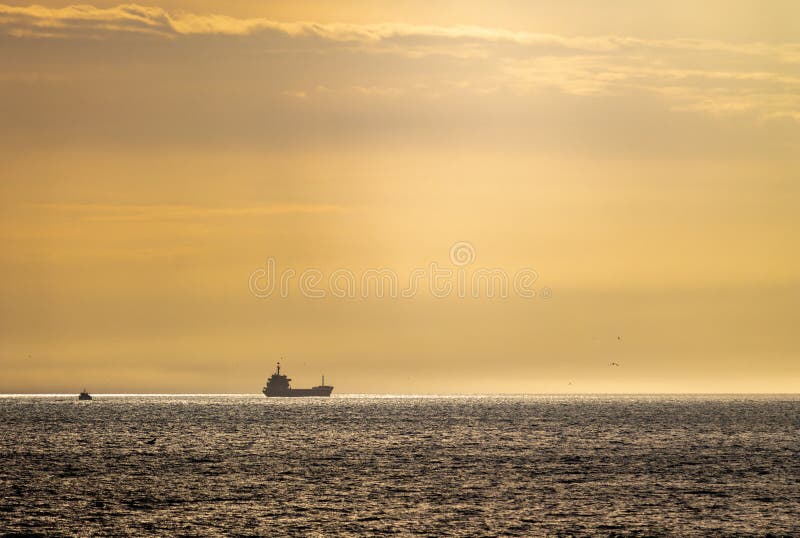 Cargo Ship in the Horizon stock photo. Image of dawn - 130133858