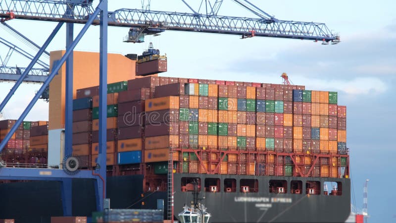 Cargo ship loading stock footage. Video of goods, commercial - 243418008