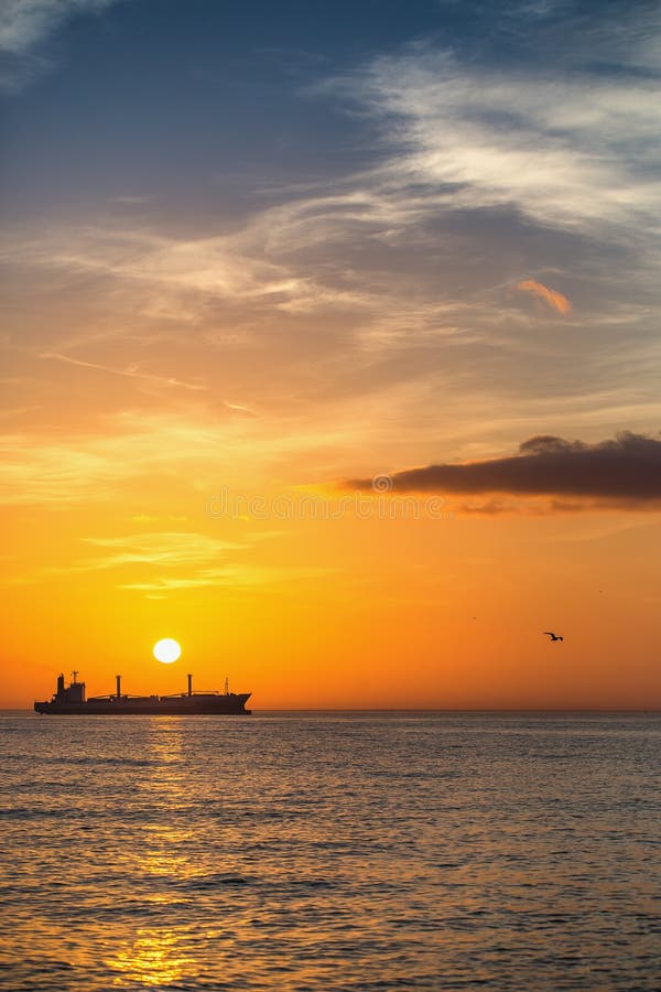 Cargo Ship Sailing on Sunrise Near the Beach Stock Image - Image of ...