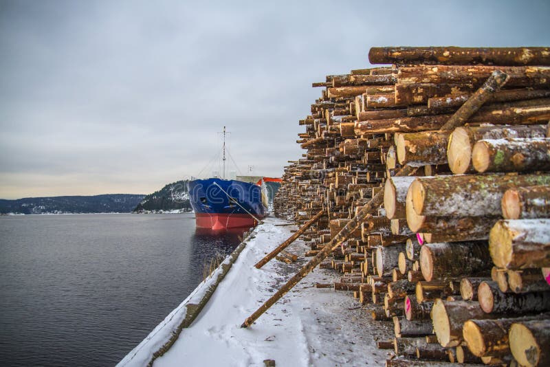 Cargo Ship Unloading Timber Stock Image - Image of bulk, business: 28442859