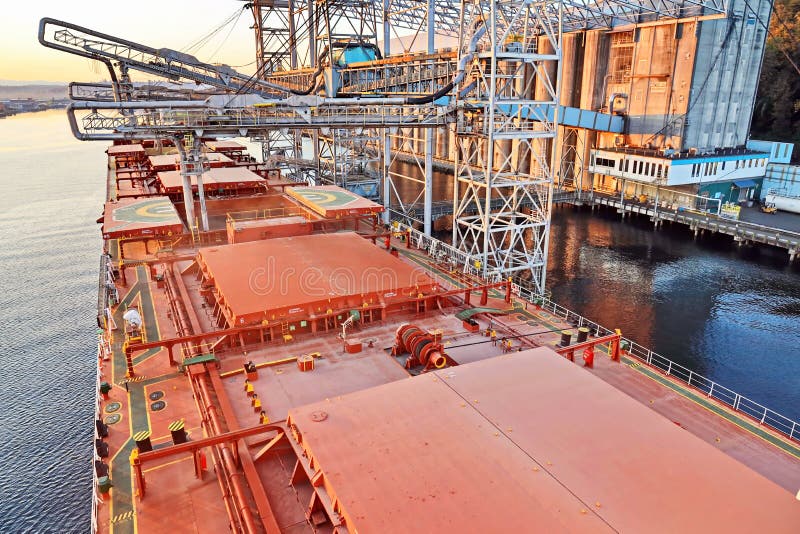 Cargo Terminal for Unloading Grain Cargo and Containers by Shore Cranes ...