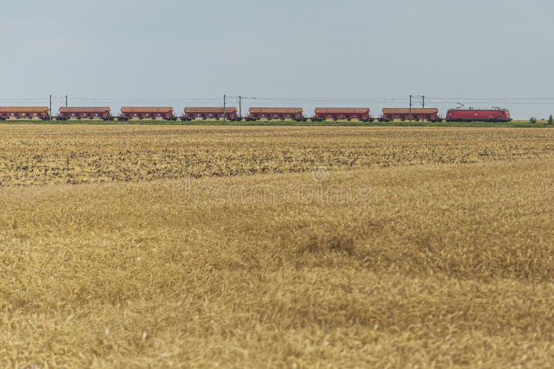 A Cargo Train Passing and a Ready To Be Harvest Grain Field Stock Photo ...