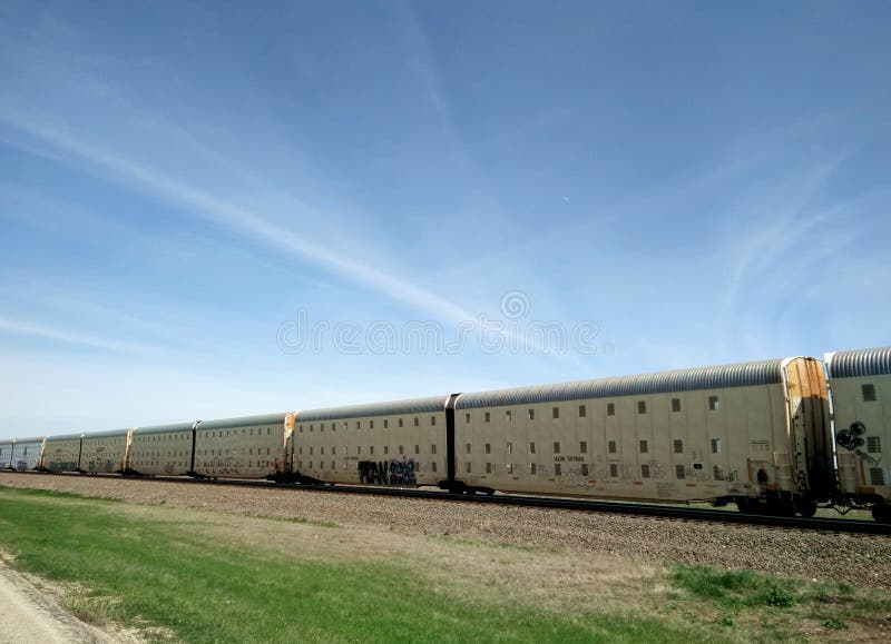 Cargo train on land stock photo. Image of lines, sunshine - 127427030