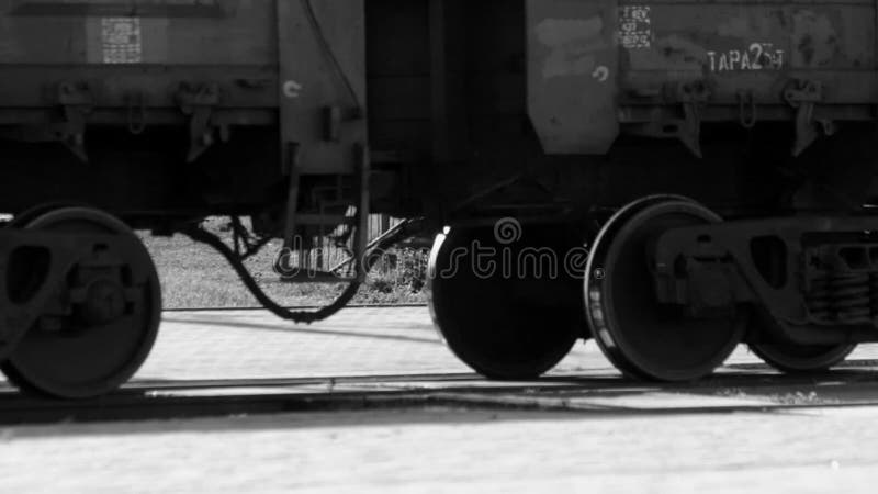 Cargo Train Moves through Wichita Station, Capturing Urban Buildings ...