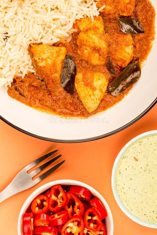 Cari De Madras De Poulet D'un Plat Avec Du Riz Image stock - Image du ...
