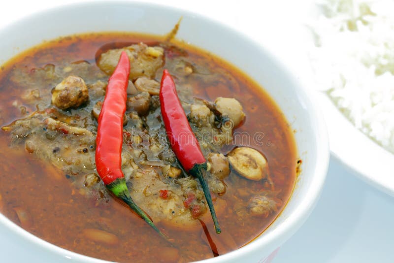 Cari de poulet avec du riz photo stock. Image du blanc - 22094920