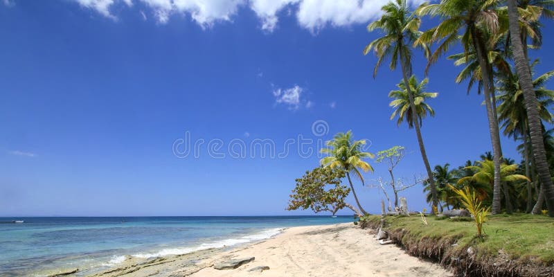 Caribbean Beach Scene stock photo. Image of shadow, water - 11842536