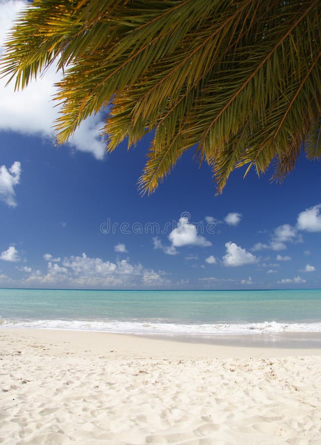 Caribbean Beach stock image. Image of island, journey, fine - 909685