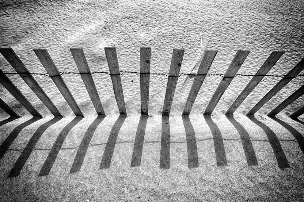 Caribbean beach. stock photo. Image of shore, seascape - 55236754