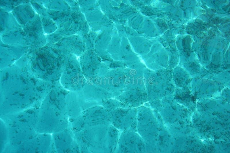 Caribbean Blue stock photo. Image of coral, clean, ocean - 1921530