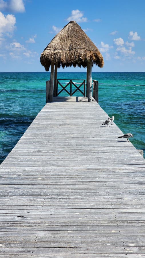 Caribbean dock ocean stock photo. Image of dock, line - 265726446