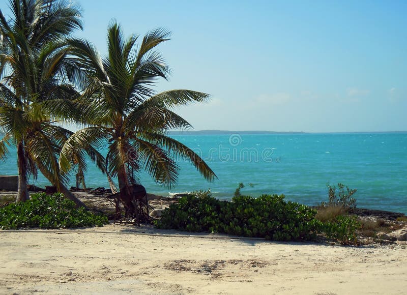 Caribbean Eleuthera Island stock image. Image of relaxation - 255373411