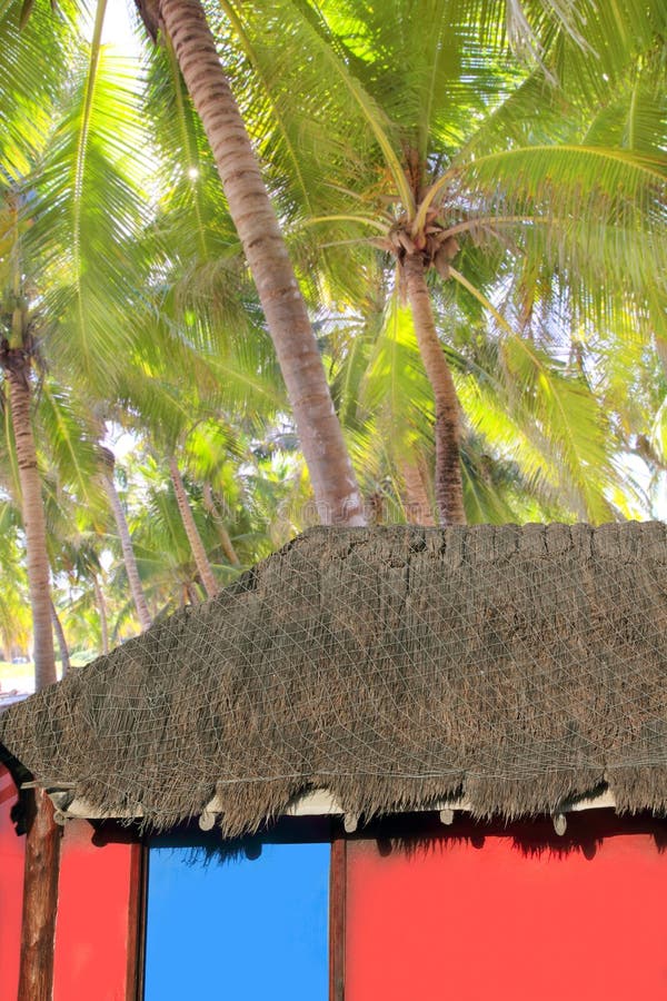 Caribbean Hut Red House Coconut Palm Trees Stock Photo - Image of door ...