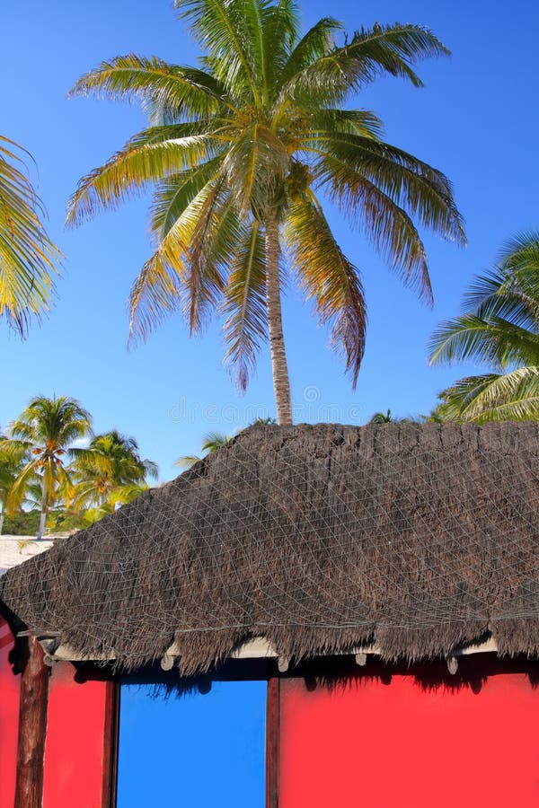 Caribbean Hut Red House Coconut Palm Trees Stock Photos - Free ...