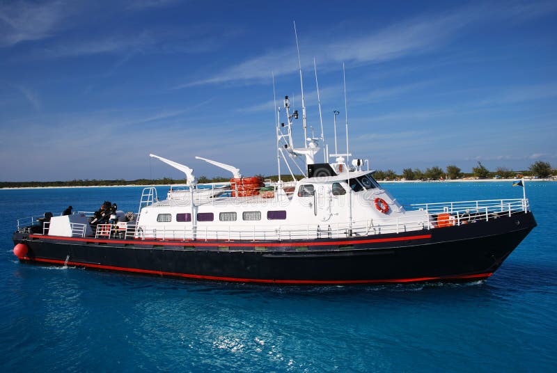 Caribbean Pilot stock image. Image of nature, travel - 23824999