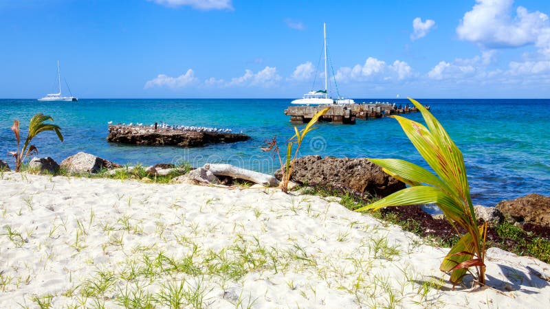Caribbean sea scenery stock image. Image of blue, rest - 51020899