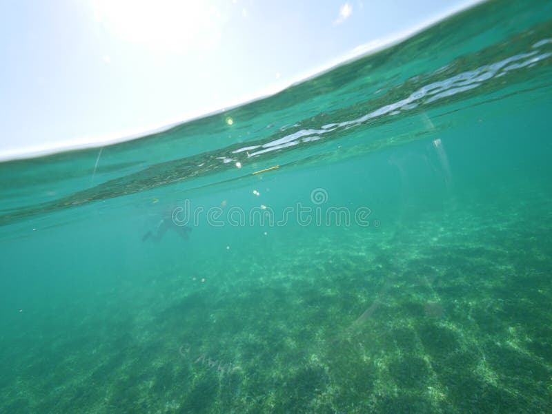 Caribbean sea split level stock photo. Image of scuba - 81090862