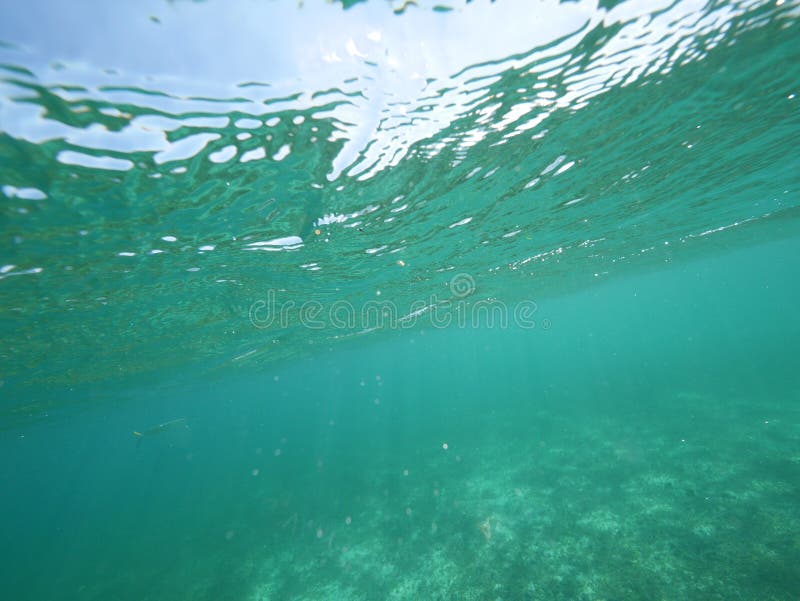 Caribbean sea split level stock photo. Image of scuba - 81090862