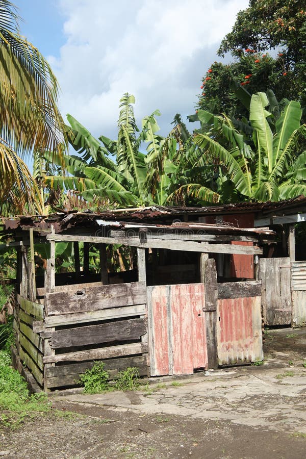 Caribbean Shack stock image. Image of forest, shack, outdoors - 9118835