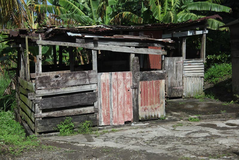 Caribbean Shack stock image. Image of forest, shack, outdoors - 9118835