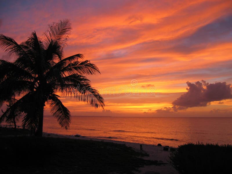 Caribbean Sunset stock image. Image of beautiful, orange - 1290433