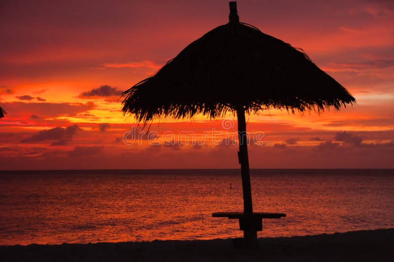 Caribbean sunset stock photo. Image of sunset, palm, spiritual - 23954288