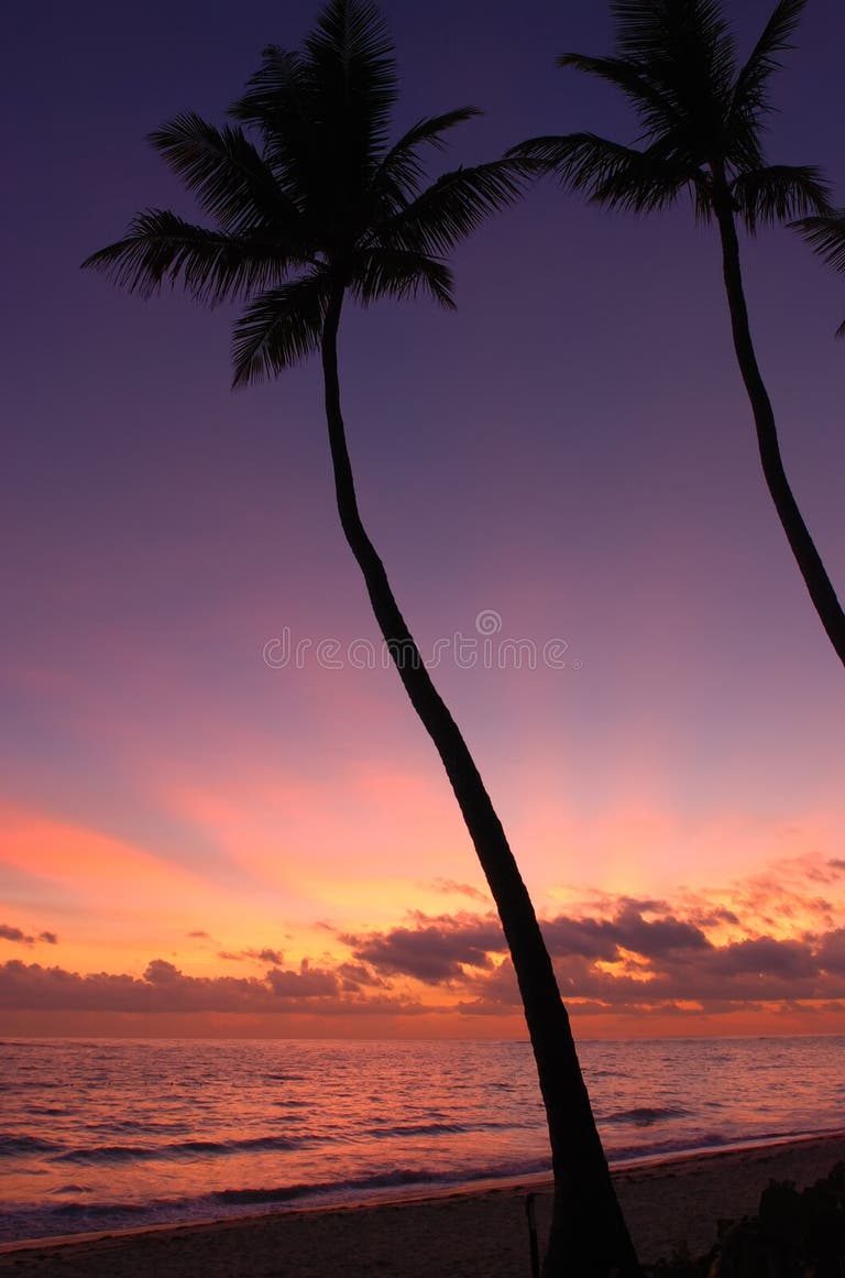 37,602 Beautiful Caribbean Beach Sunset Stock Photos - Free & Royalty-Free Stock Photos from ...