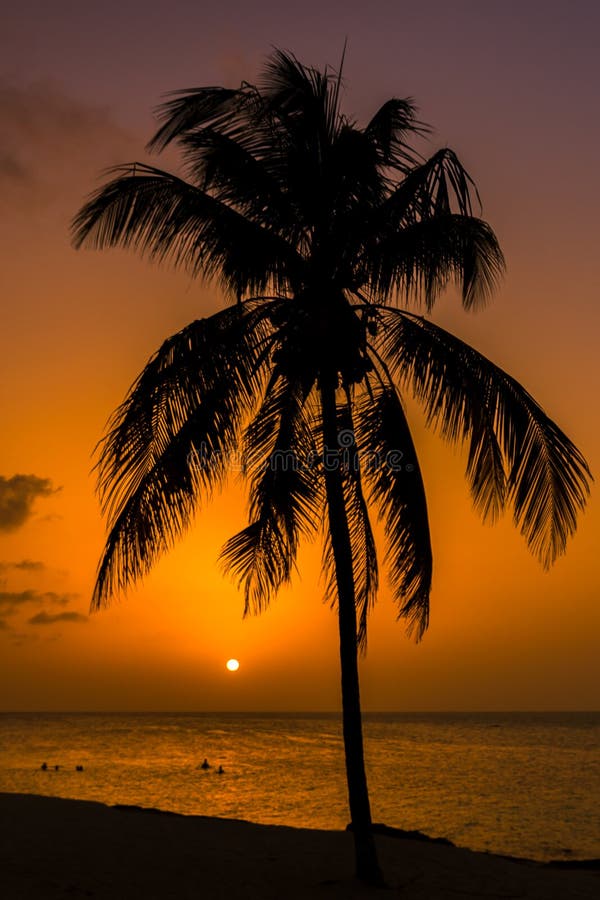 Sunset in Cuba, Nature Lover Stock Image - Image of glass, cuba: 203610991