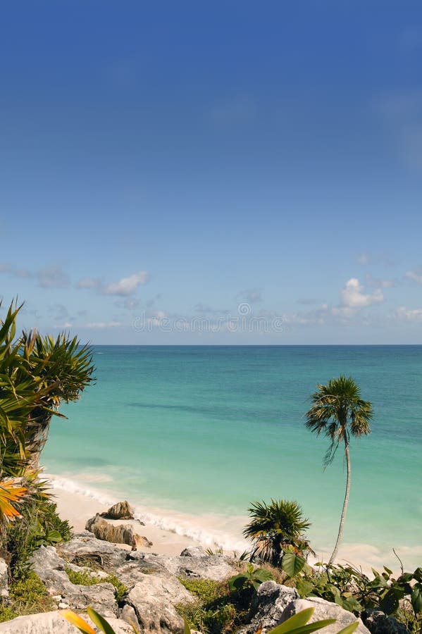 Caribbean Tulum Mexico Tropical Panoramic Beach Stock Image - Image of ...