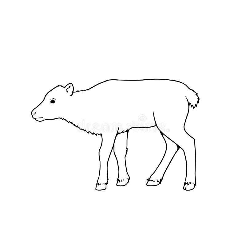 Line Drawing of a Caribou in Black and White for Coloring Vector Stock ...