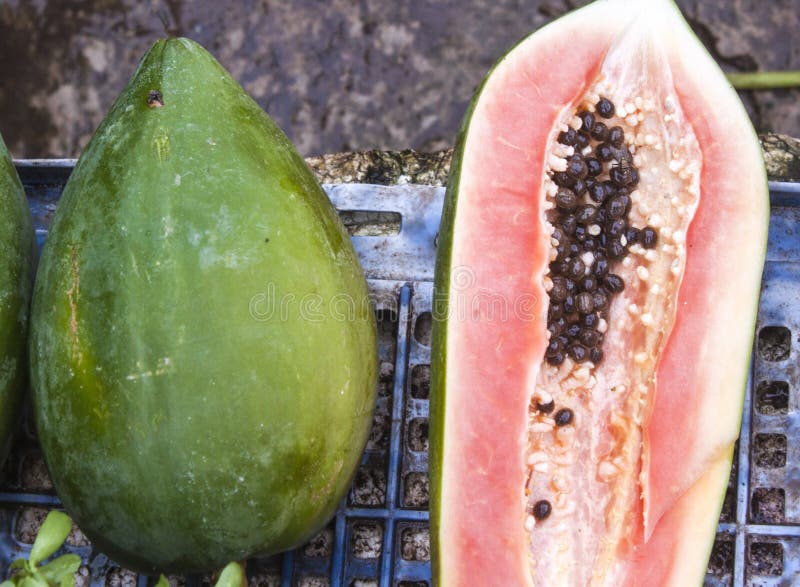Carica Papaya, Carica Papayas, Papaya Fruit, Papaw, Pawpaw. Seeds Stock ...