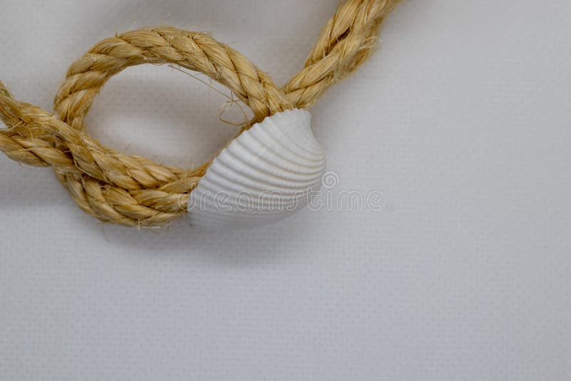 Caries De Concha De Playa Con Cuerda Foto de archivo - Imagen de ...