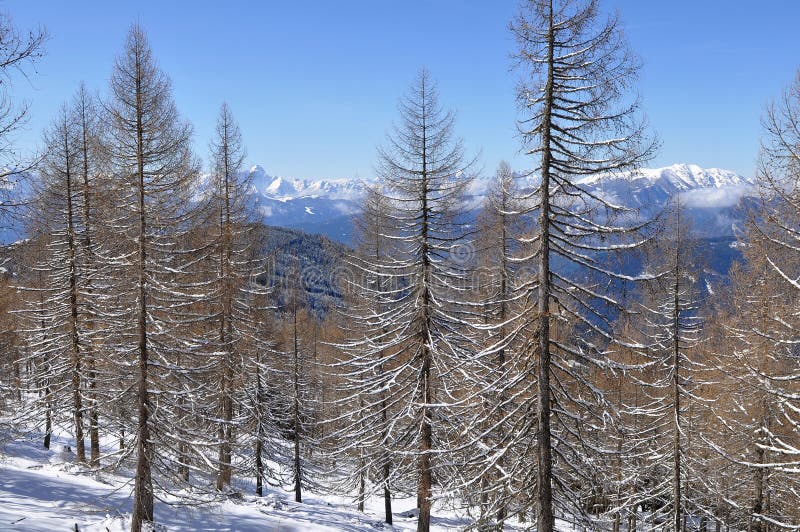 Carinthia-Villach Alps stock image. Image of snow, villach - 15429041