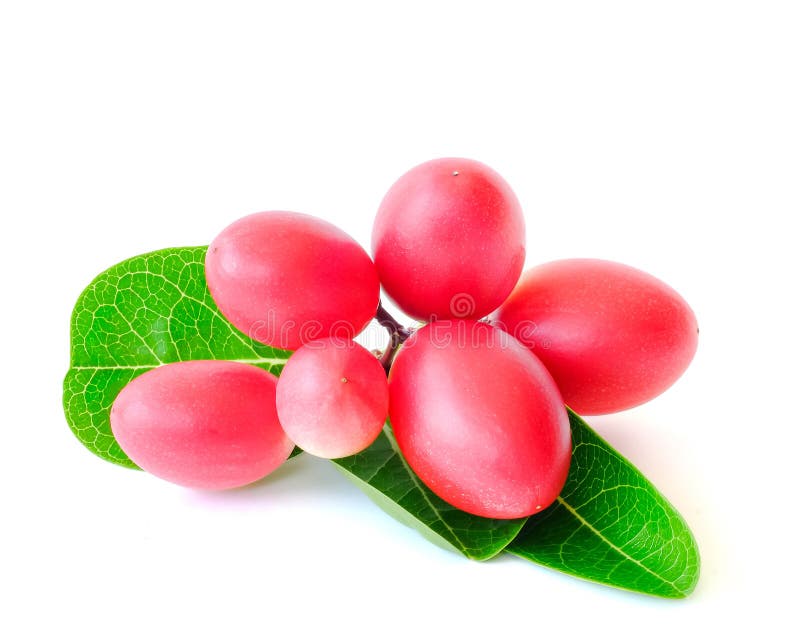 Carissa Carandas with Leaves on White Background. Stock Image - Image ...