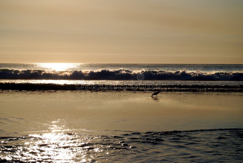 Low Tide Beach Reflection at Sunset Stock Image - Image of destination ...