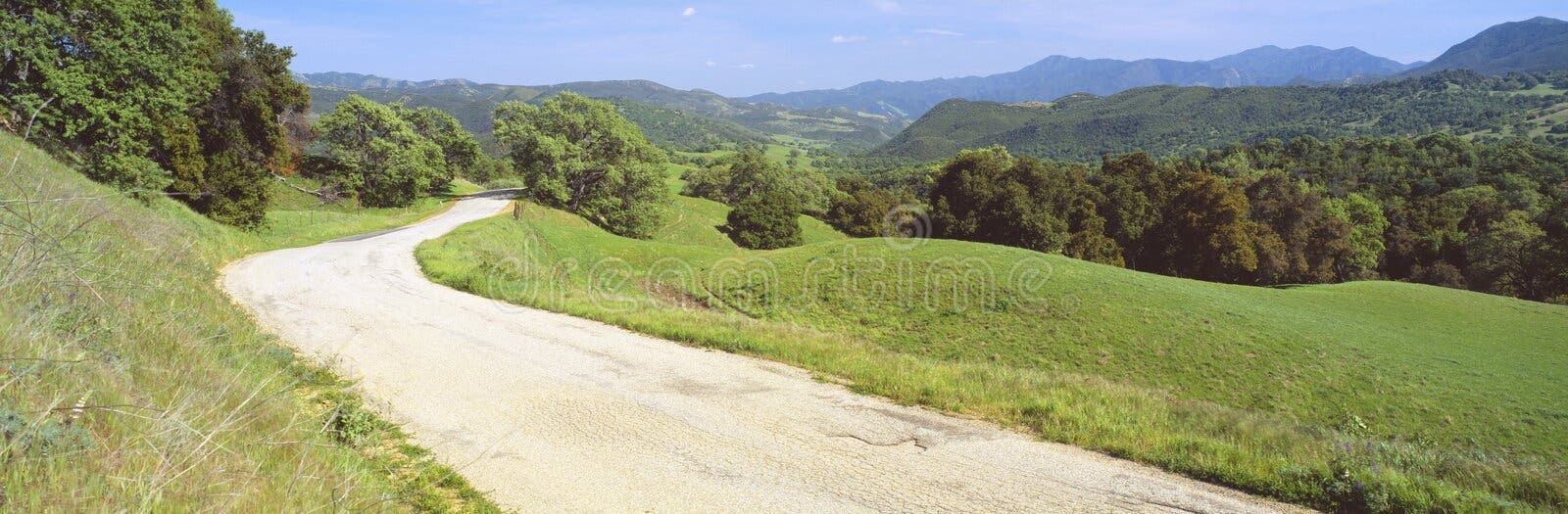 Spring Fields in Carmel Valley Stock Image - Image of hills, trees ...