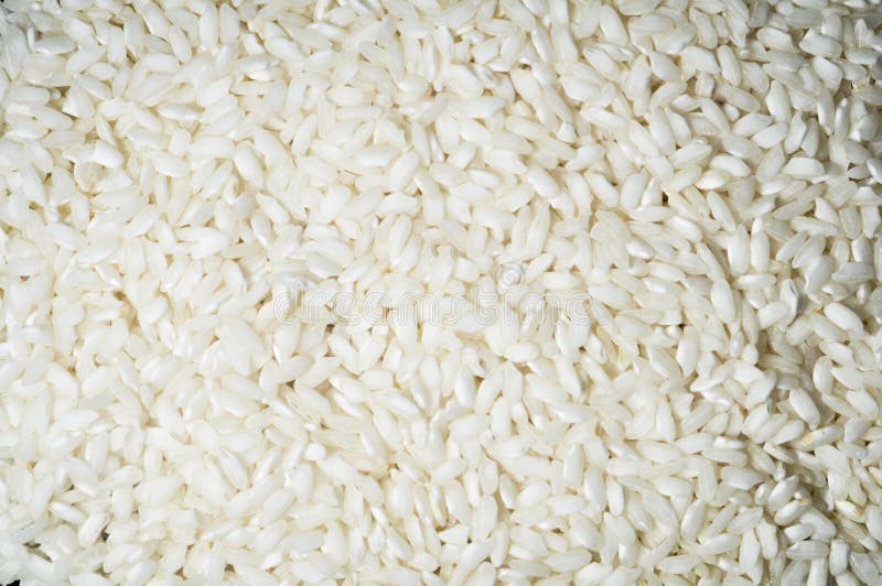 Carnaroli rice stock image. Image of carnaroli, good - 138276841