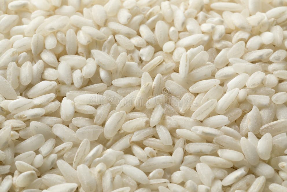 Carnaroli risotto rice stock photo. Image of closeup - 146070878