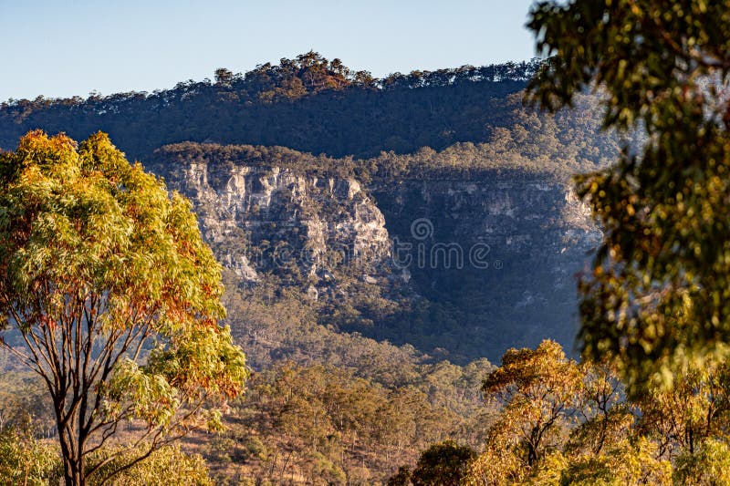 Carnarvon Gorge stock photo. Image of green, high, rock - 196801316
