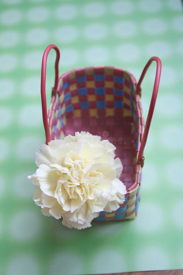 Carnation in the basket stock image. Image of colourful - 640997