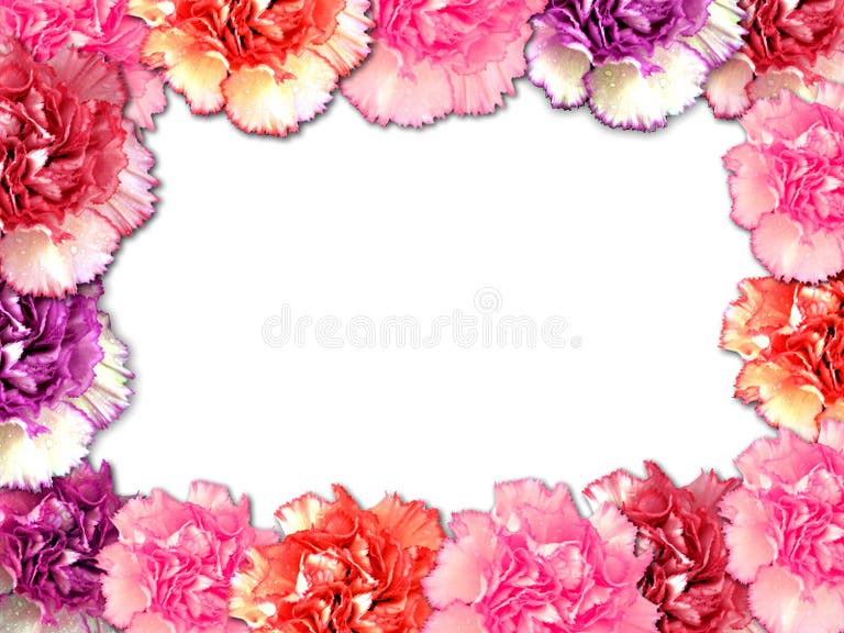 1,757 Pink Border Carnation Stock Photos - Free & Royalty-Free Stock ...