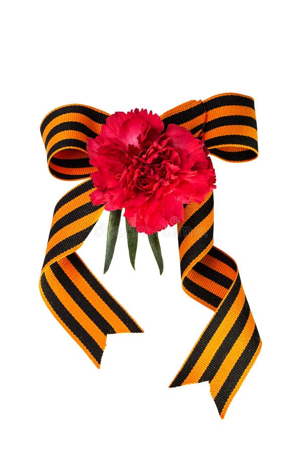Carnation and Bow of St. George Ribbon Stock Photo - Image of isolated ...