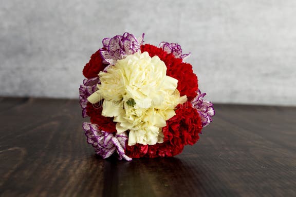 Carnation stock photo. Image of elegant, pink, petal - 78670118